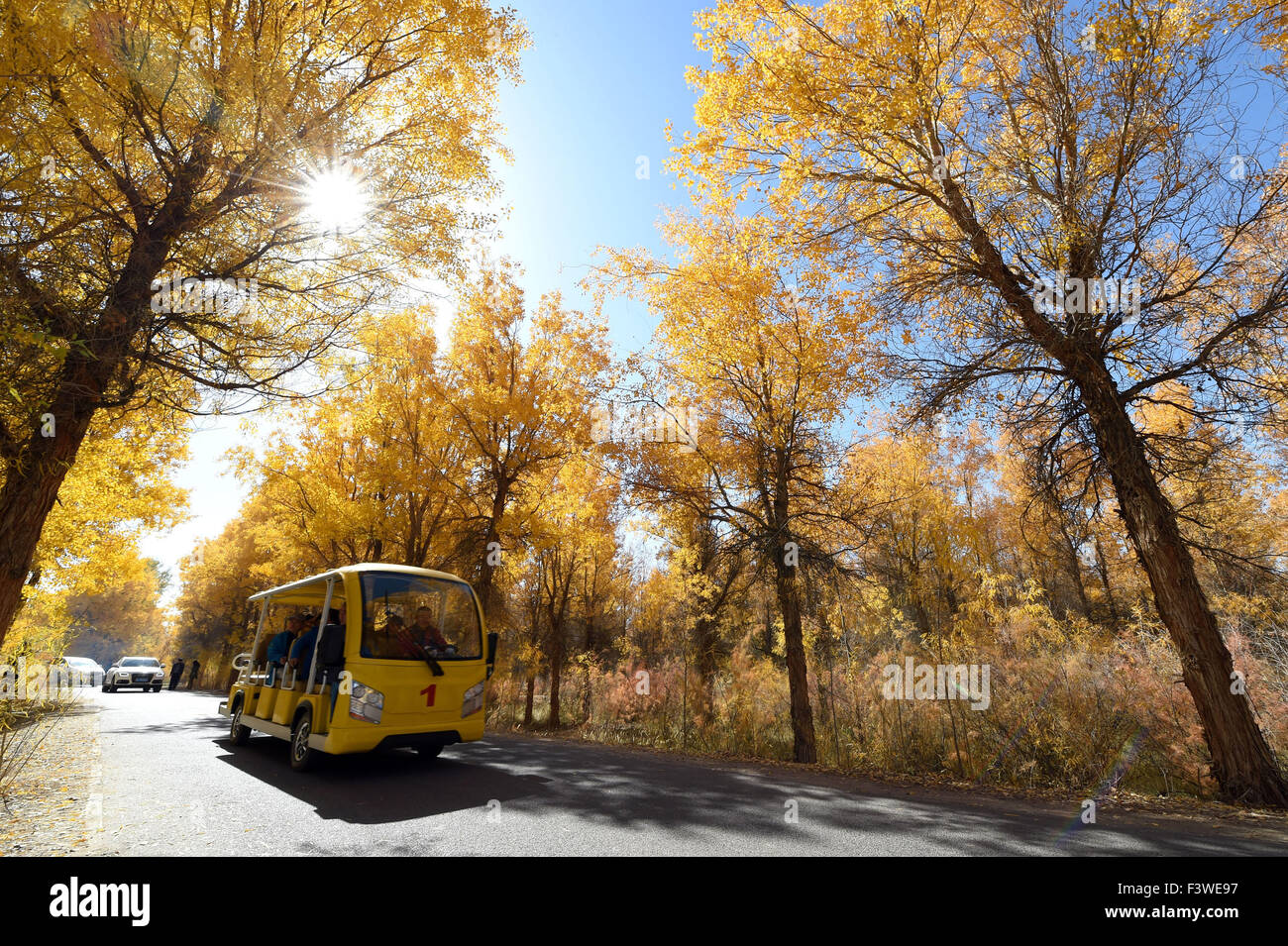 Government car 1970s hi-res stock photography and images - Alamy