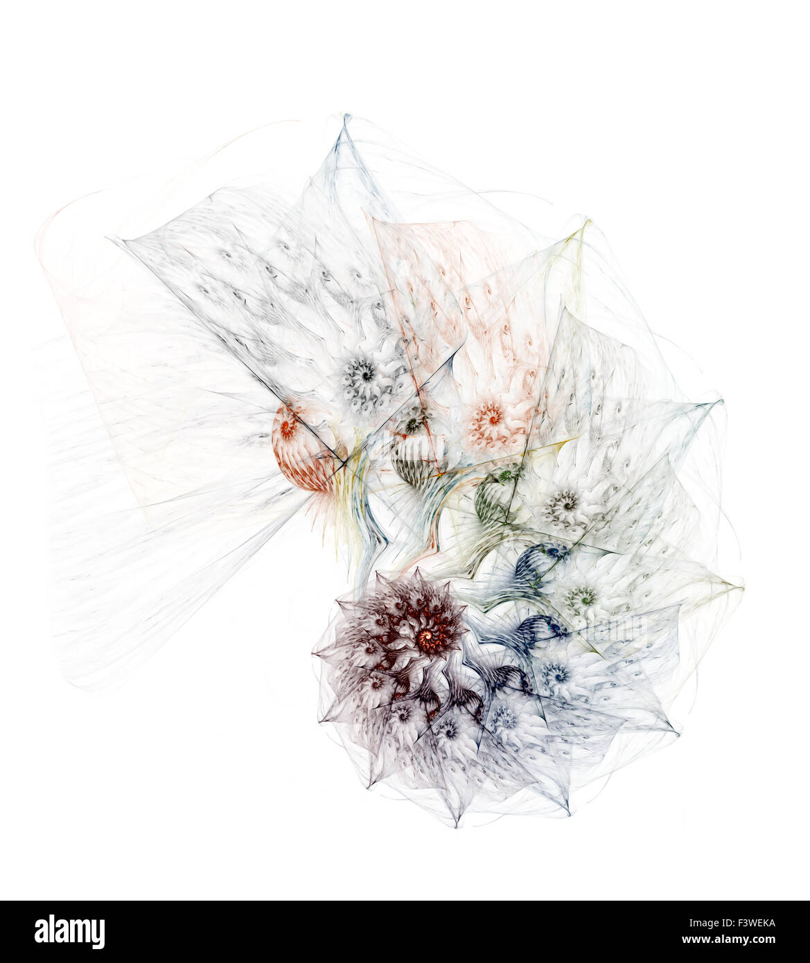 Texture complex Cut Out Stock Images & Pictures - Alamy