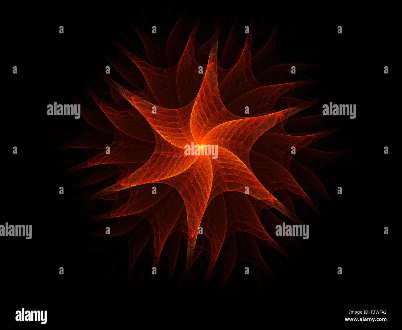 fiery flower, the red flower Stock Photo - Alamy