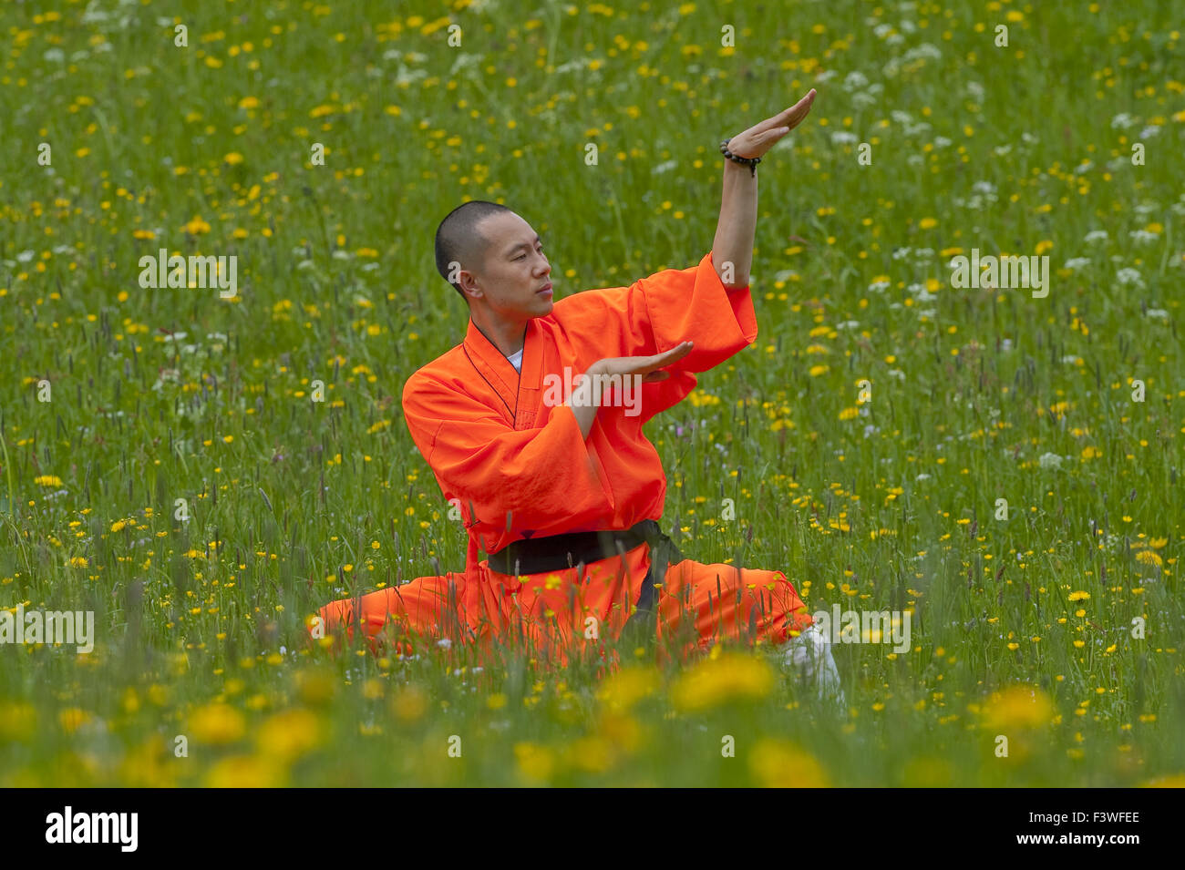 Kung Fu Yoga High Resolution Stock Photography and Images - Alamy