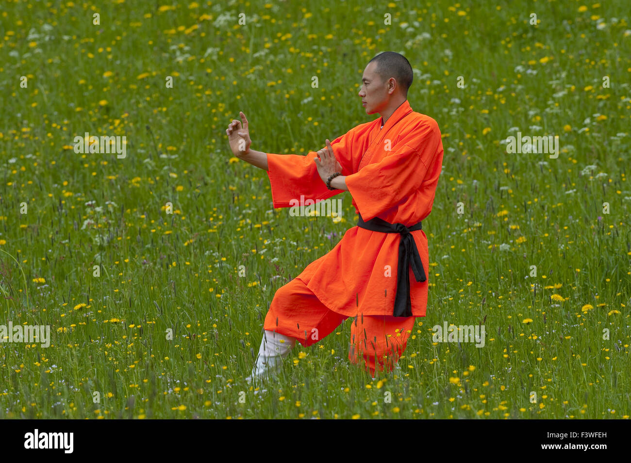 Shaolin kung fu hi-res stock photography and images - Alamy