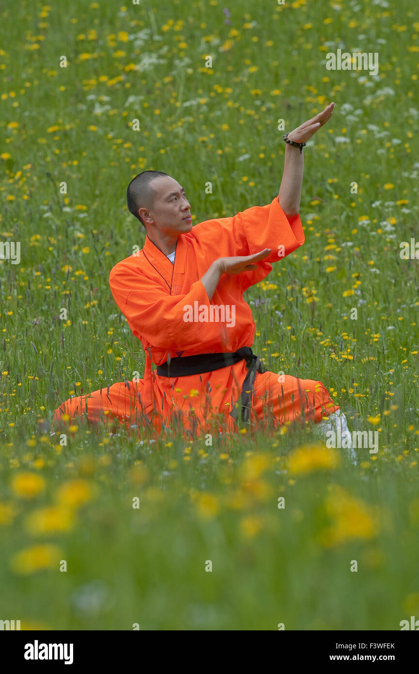 Shaolin kung fu hi-res stock photography and images - Alamy