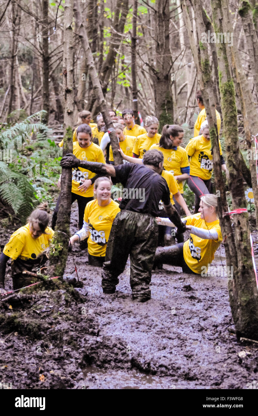 Castlewellan, Norther Ireland. 20151011 - Around 270 people took part ...