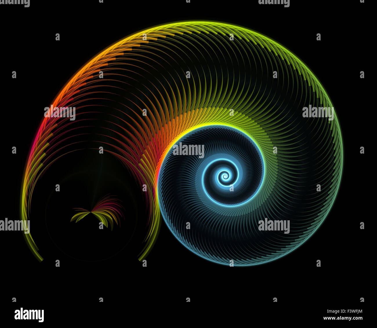 Nautilus abstract hi-res stock photography and images - Alamy
