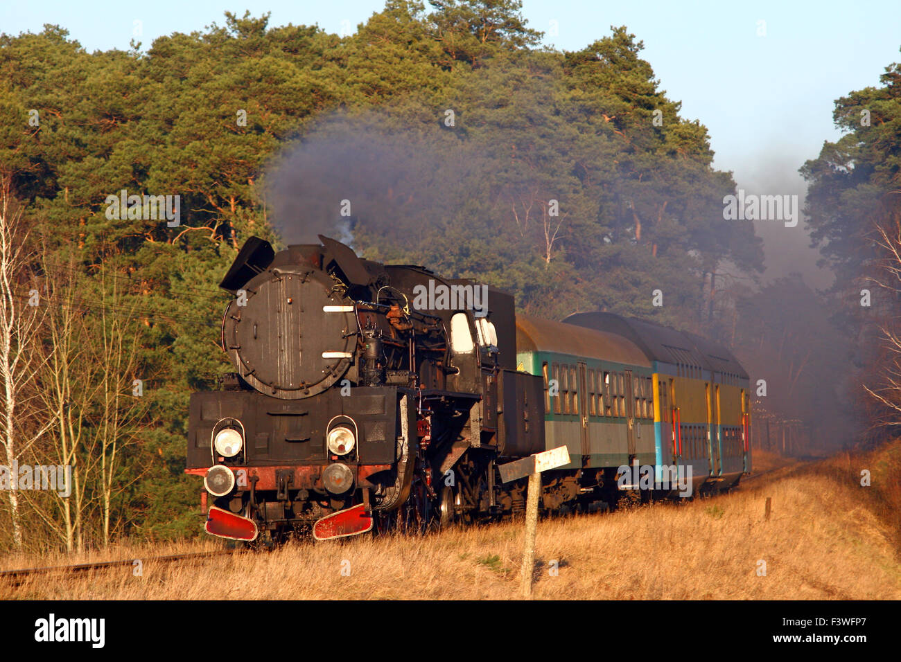 Poland forest train hi-res stock photography and images - Alamy