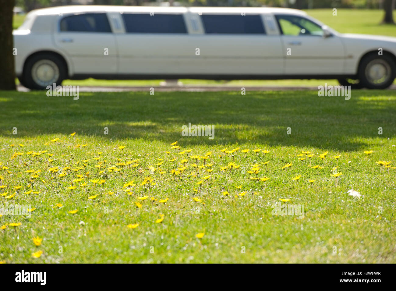 Stretch limo hi-res stock photography and images - Alamy