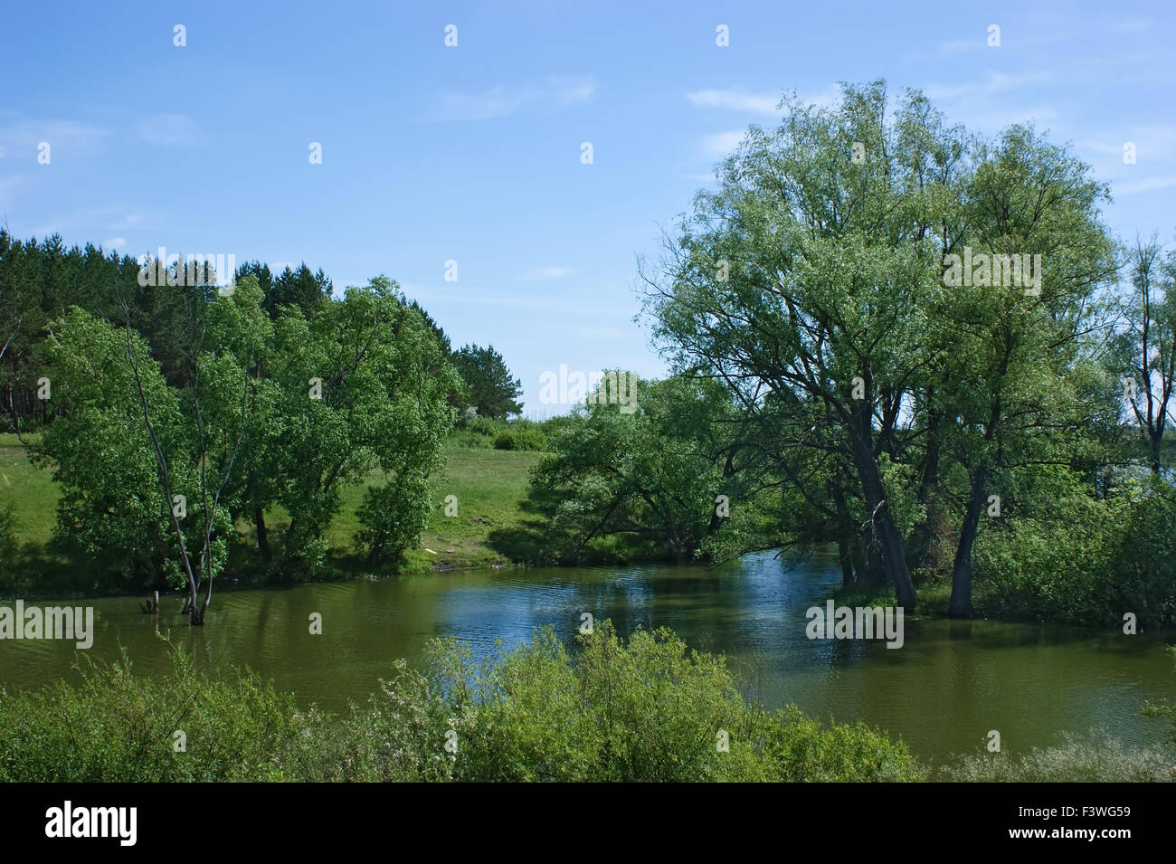 Clean calm forest lake hi-res stock photography and images - Alamy