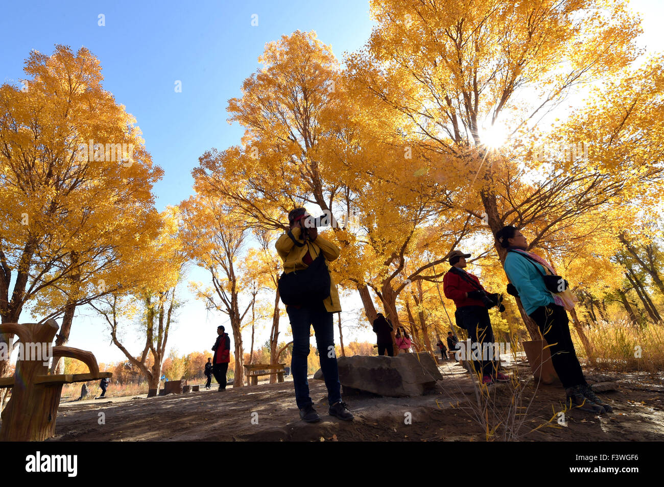 Jinta, China's Gansu Province. 13th Oct, 2015. Tourists take pictures ...
