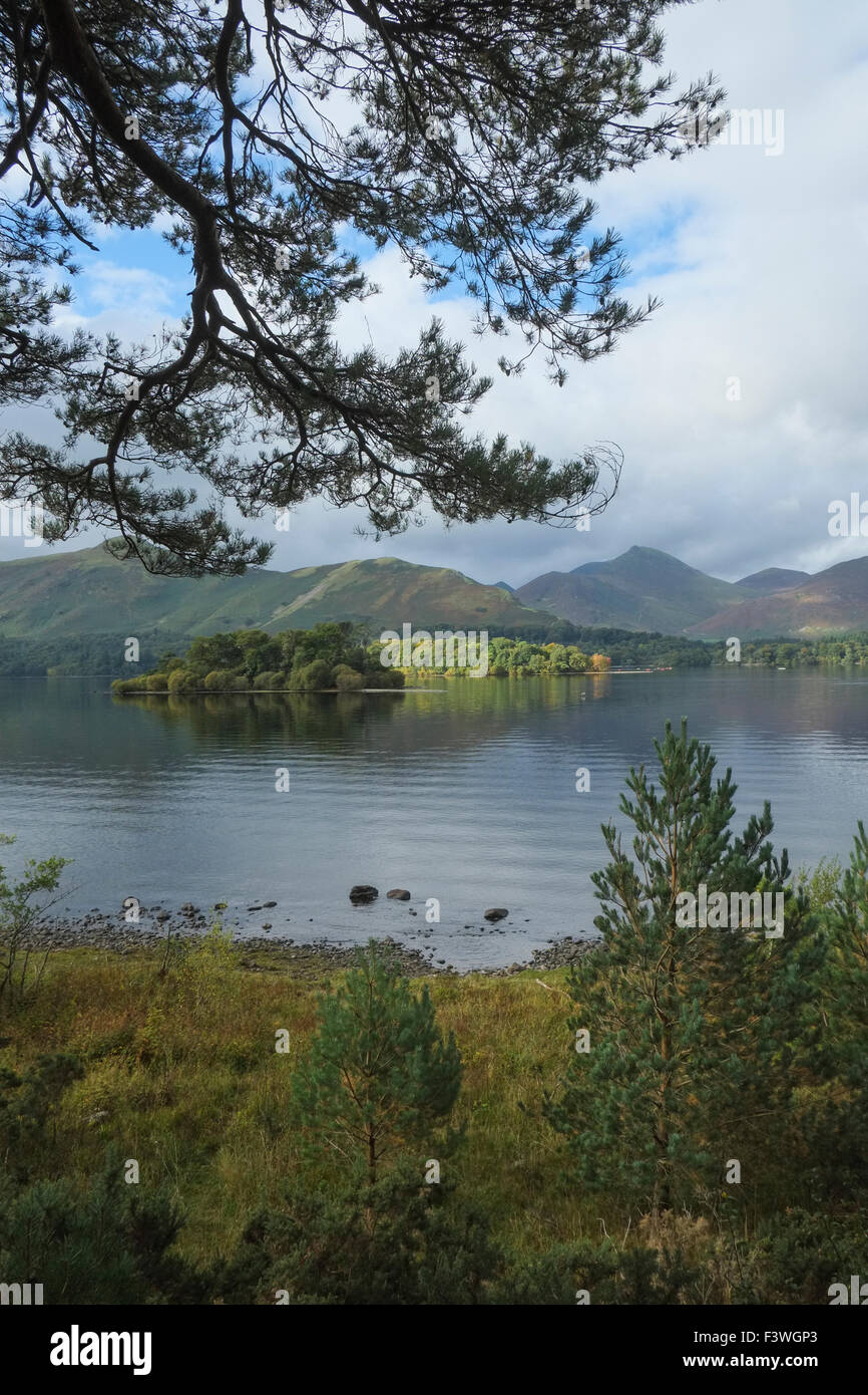 vertical view of Derwent Water in the Lake District Stock Photo - Alamy
