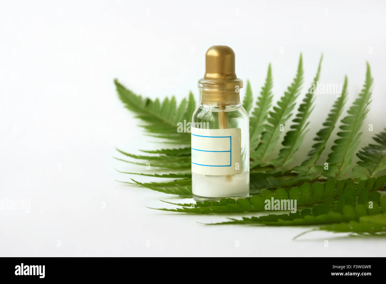 Herb vial hi-res stock photography and images - Alamy
