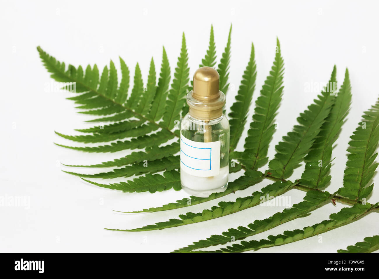 Herb vial hi-res stock photography and images - Alamy