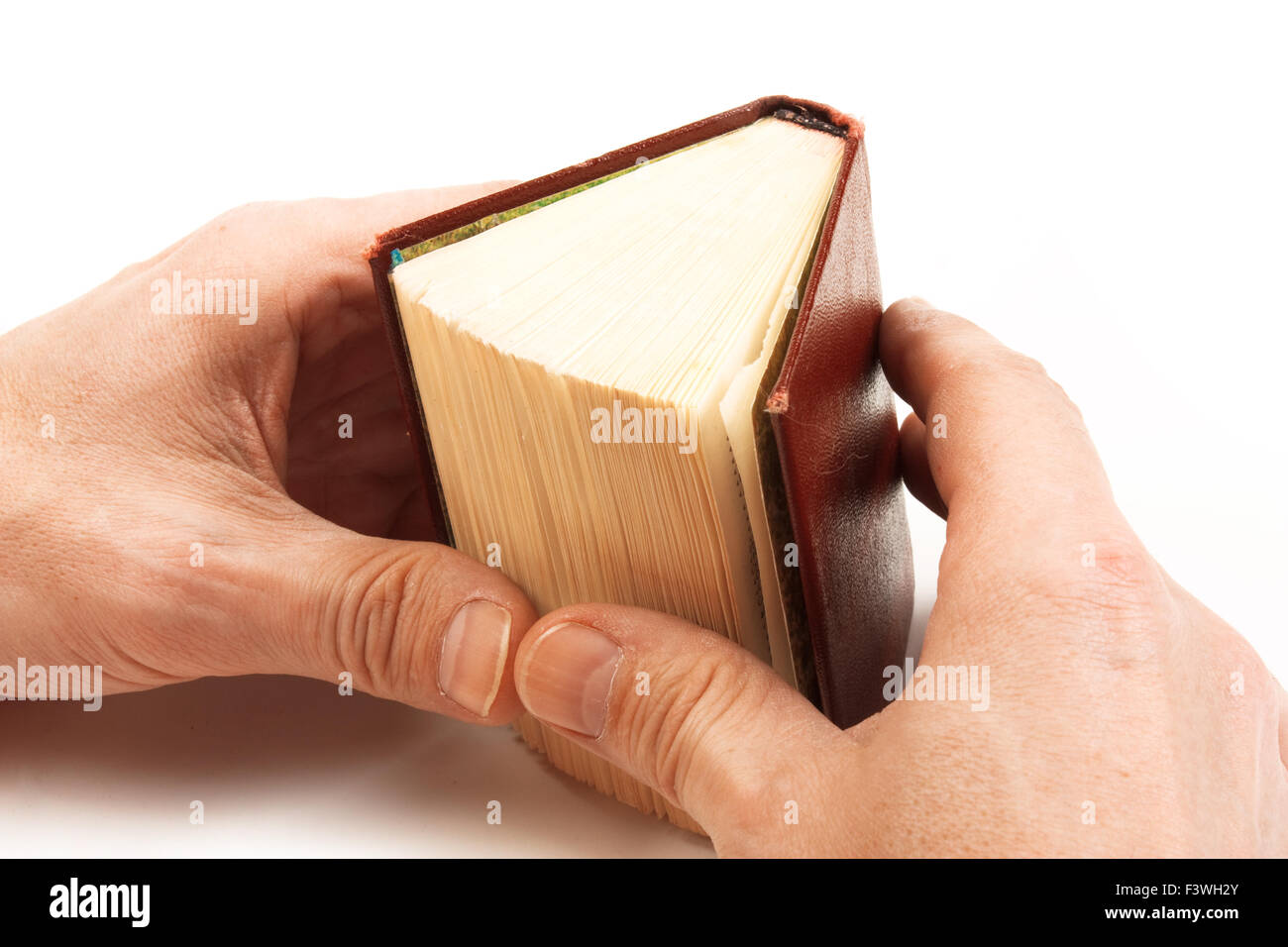 book in hand Stock Photo - Alamy