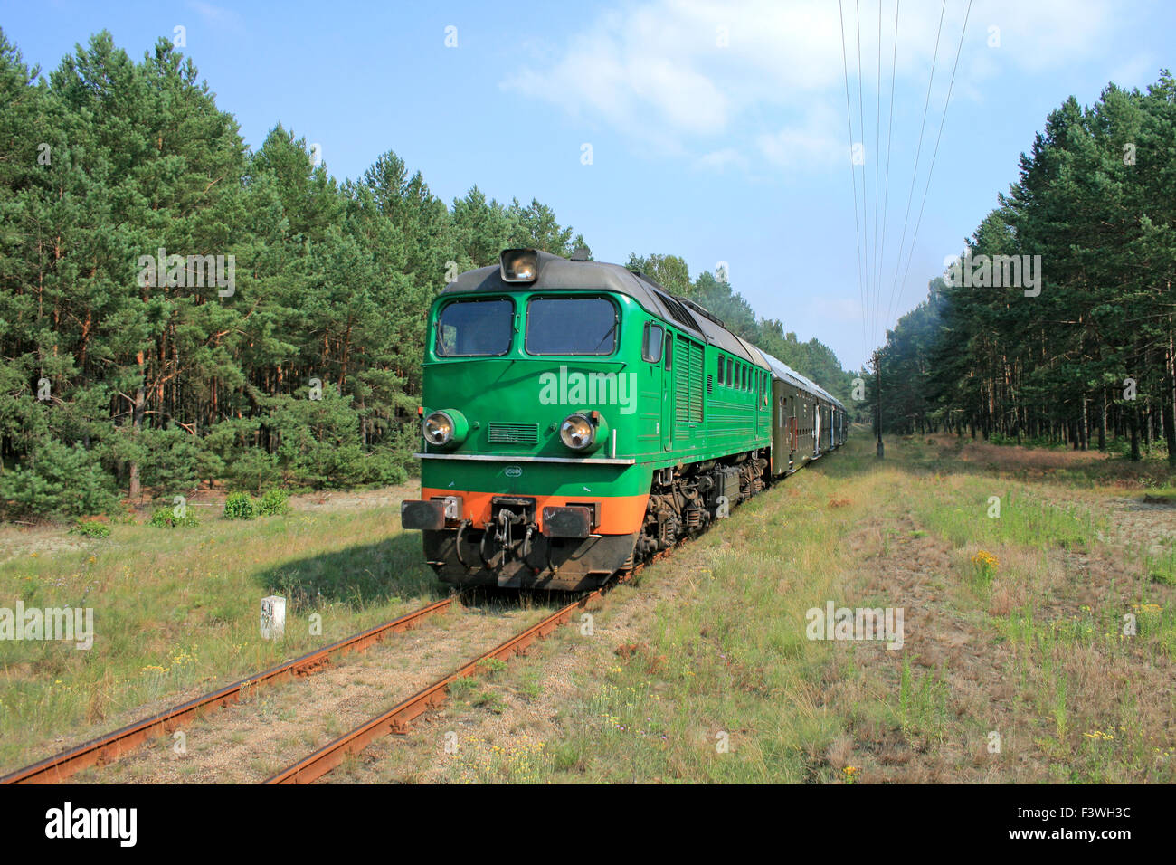 Poland forest train hi-res stock photography and images - Alamy