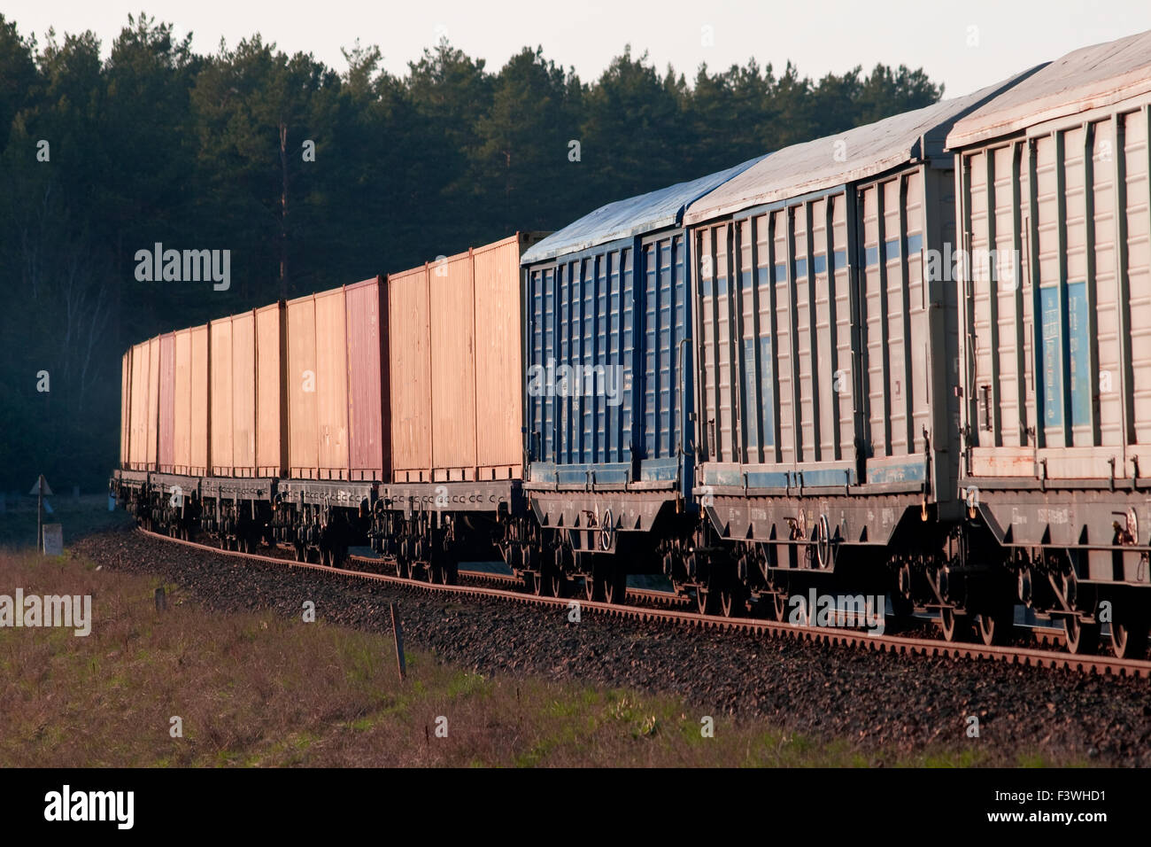 Freight train passing the forest Stock Photo - Alamy