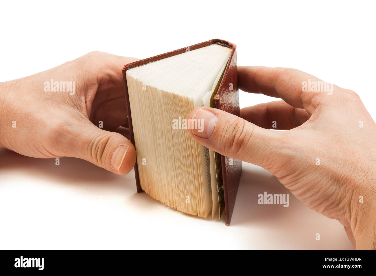 book in hand Stock Photo - Alamy