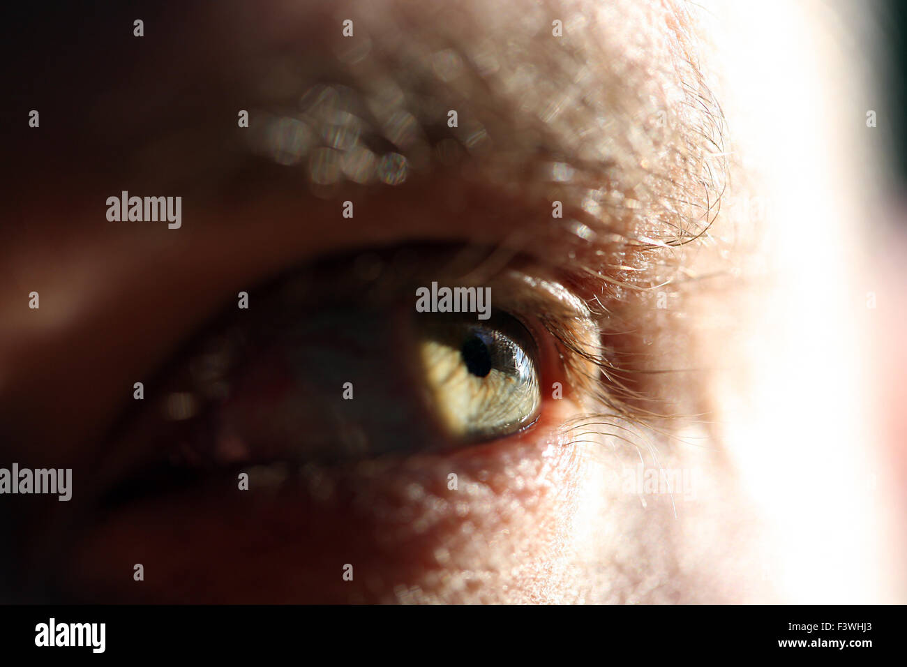 scary eye close-up detail Stock Photo - Alamy