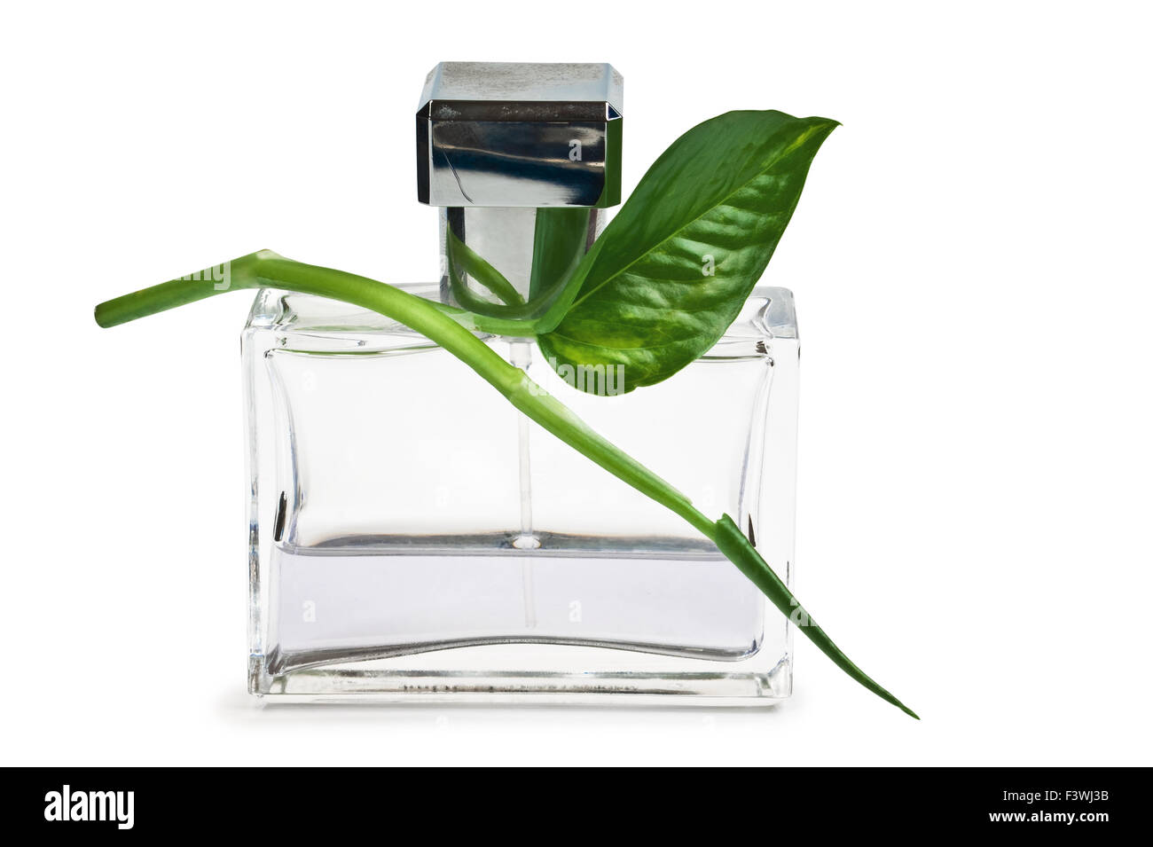 perfume bottle and green leaf Stock Photo - Alamy