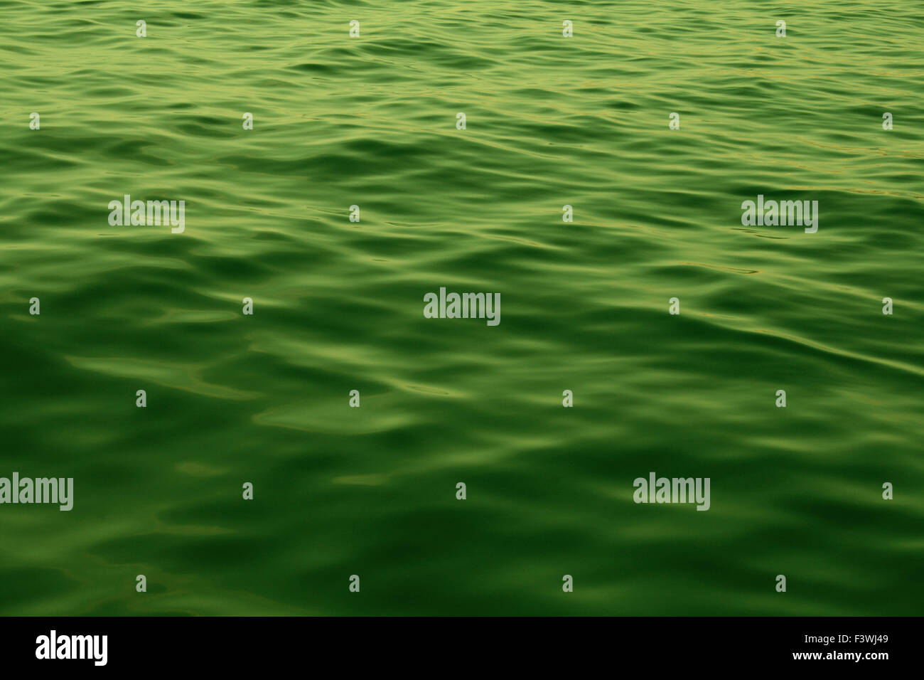 Sea waves surface Stock Photo - Alamy