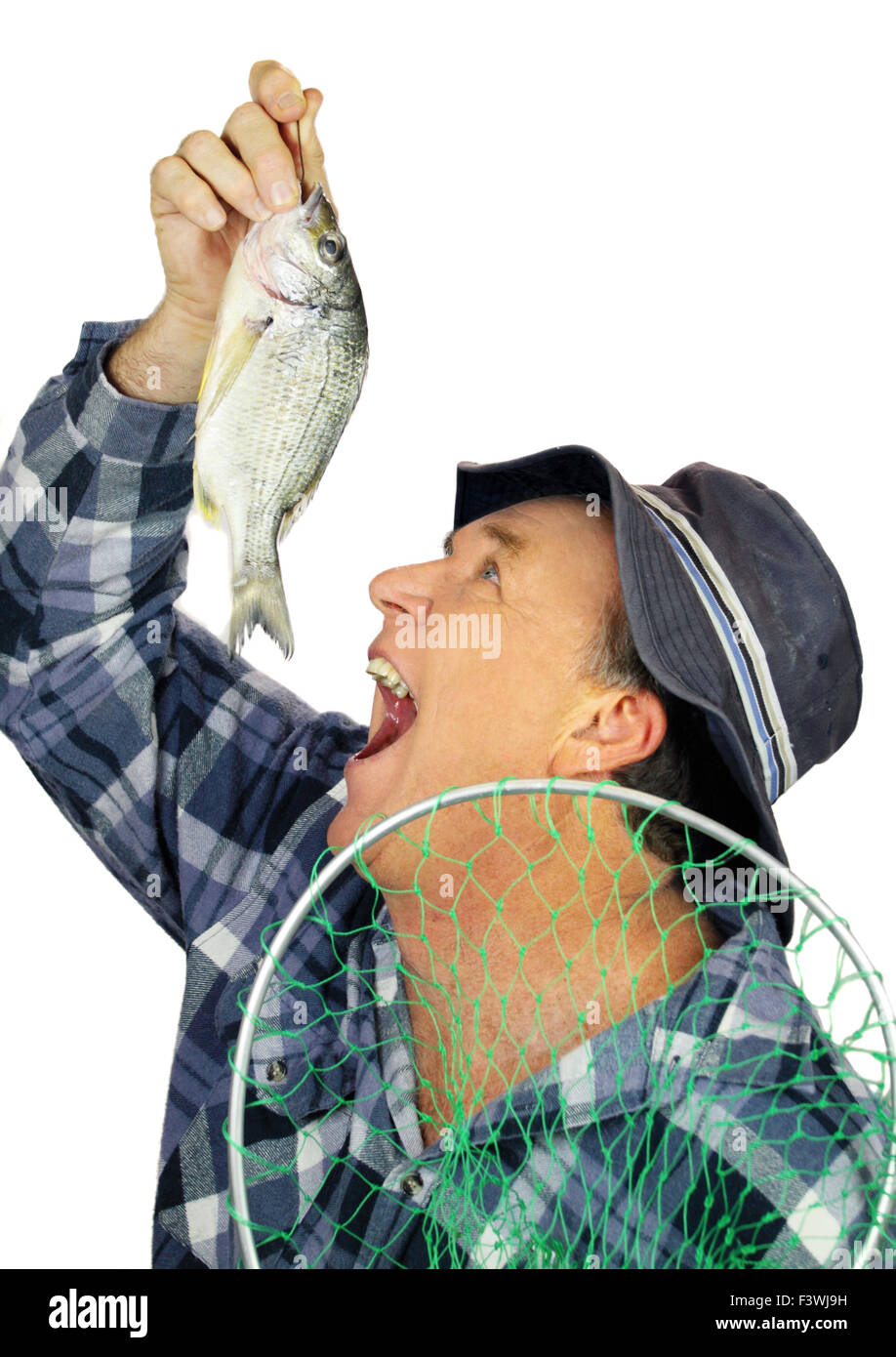 Angler Fish Eating High Resolution Stock Photography and Images - Alamy