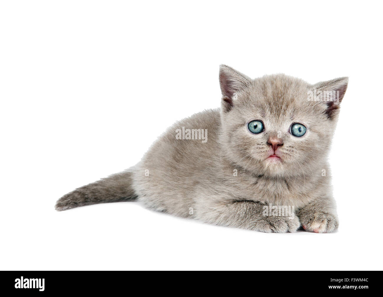 Cute little kid green Cut Out Stock Images & Pictures - Alamy