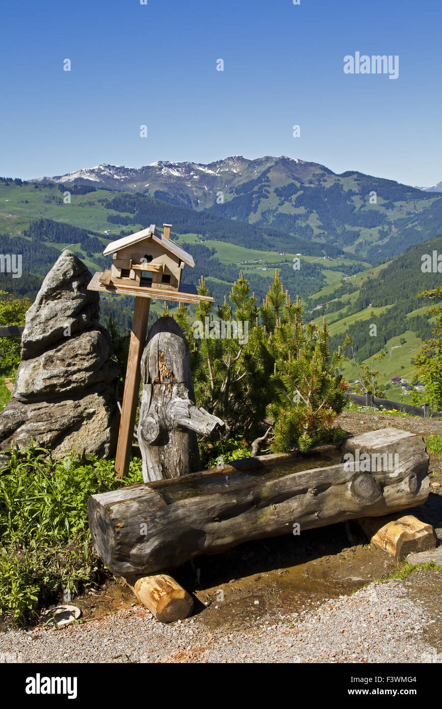 Wasser quelle alpen hi-res stock photography and images - Alamy