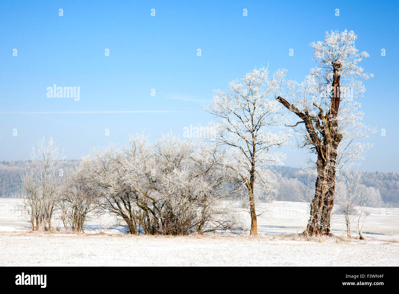 Winter Landscape with tree Stock Photo - Alamy