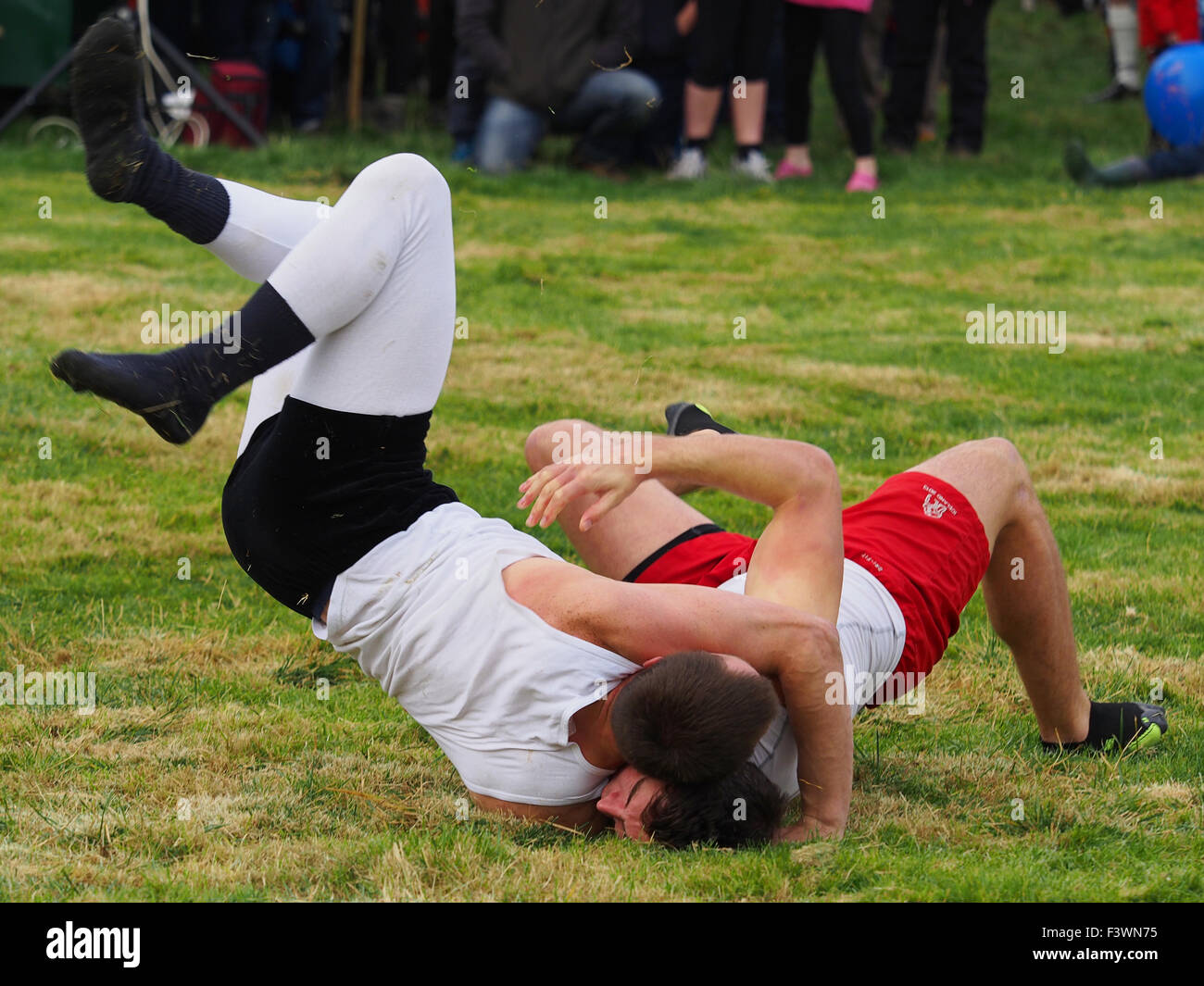 Cumberland and Westmorland Wrestling competition at the Alwinton ...