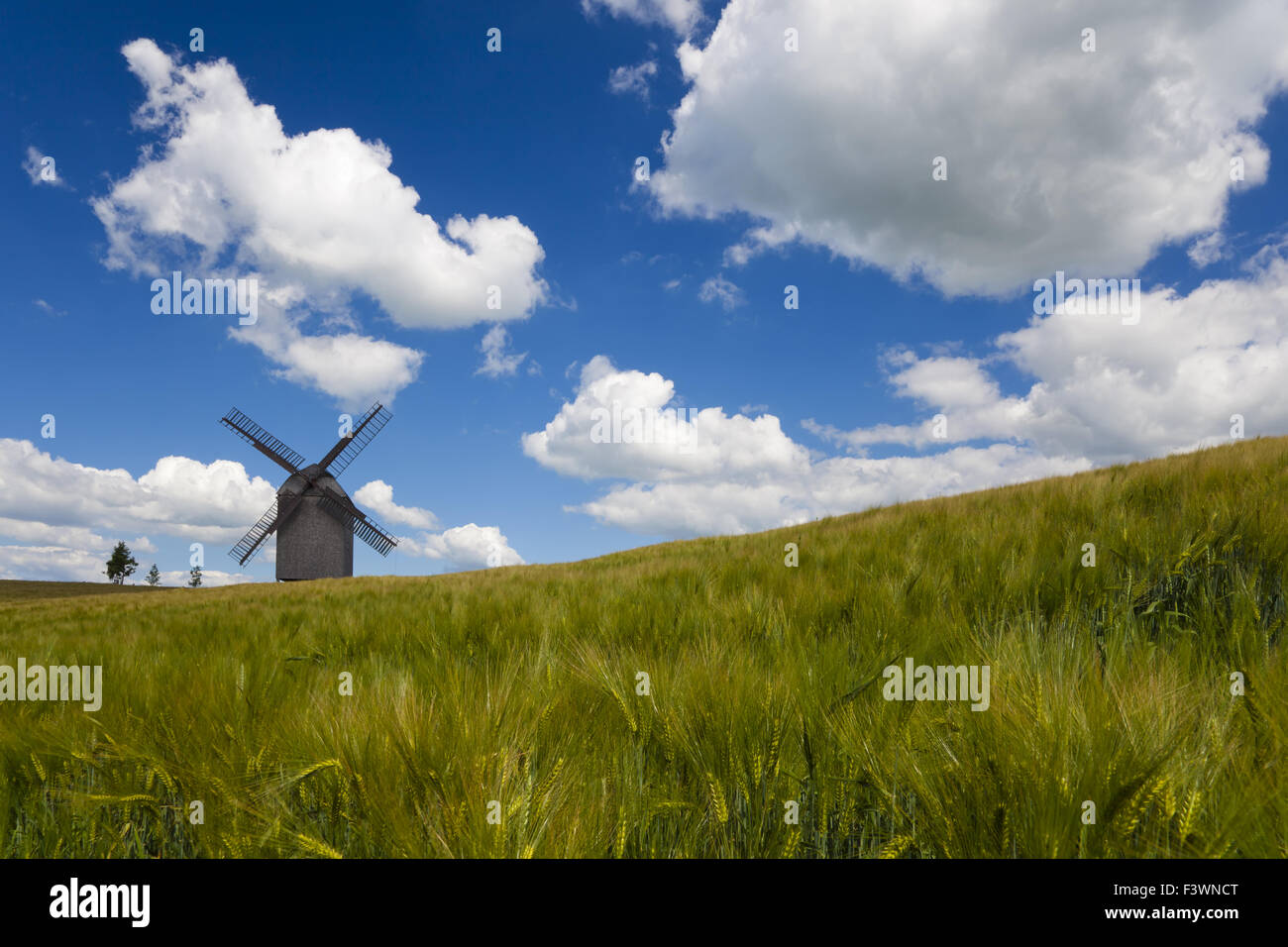 Windmill in wheat field Stock Photo - Alamy