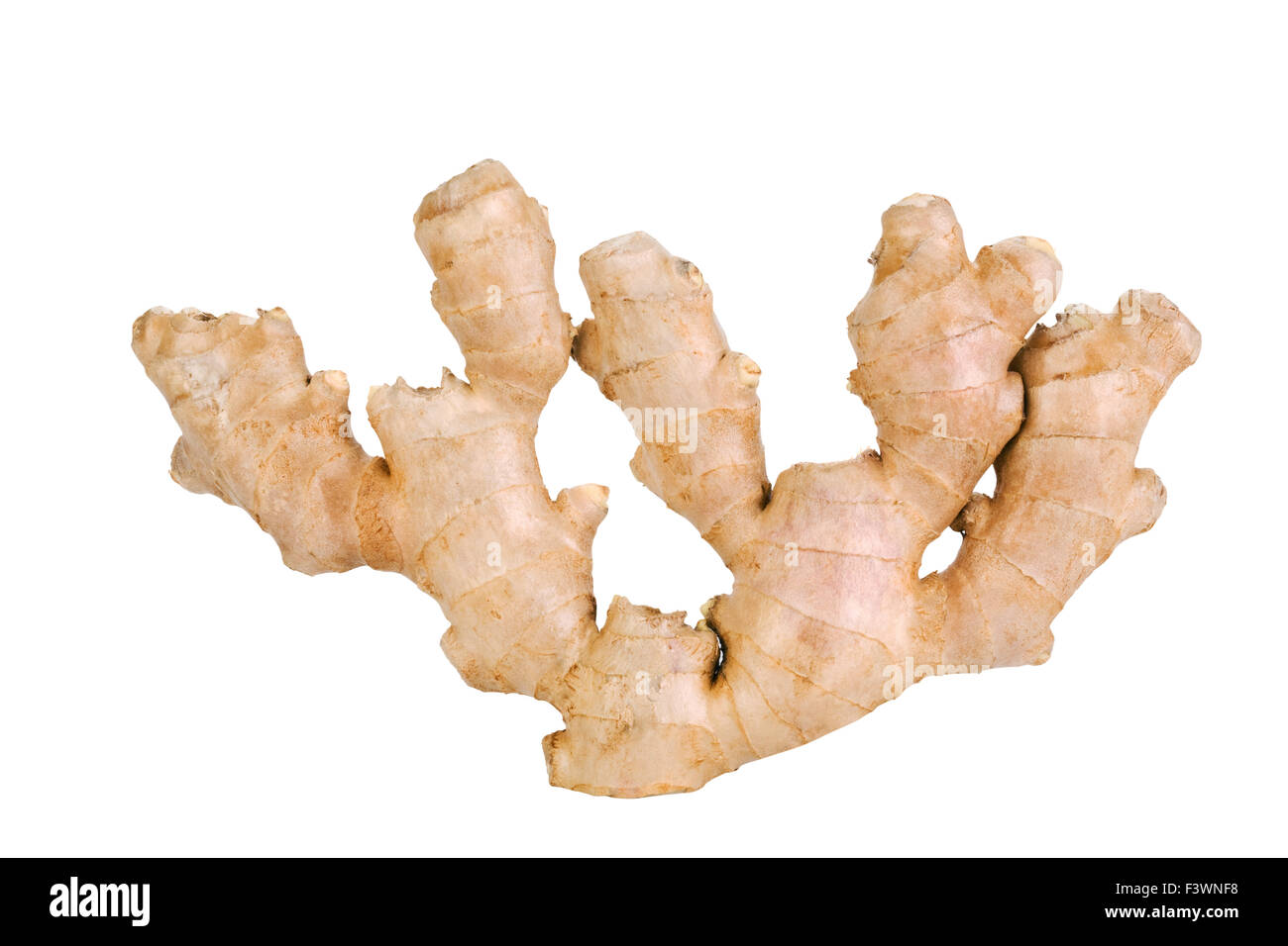 Chinese ginger plant hi-res stock photography and images - Alamy