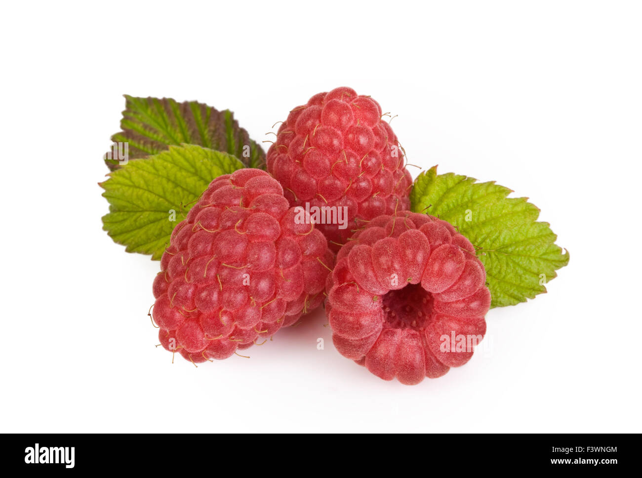 Raspberries Cut Out Stock Images & Pictures - Alamy