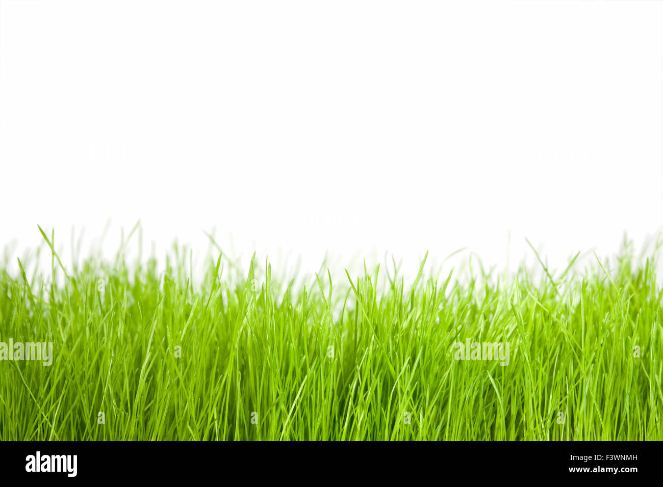 Design cut into grass hi-res stock photography and images - Alamy