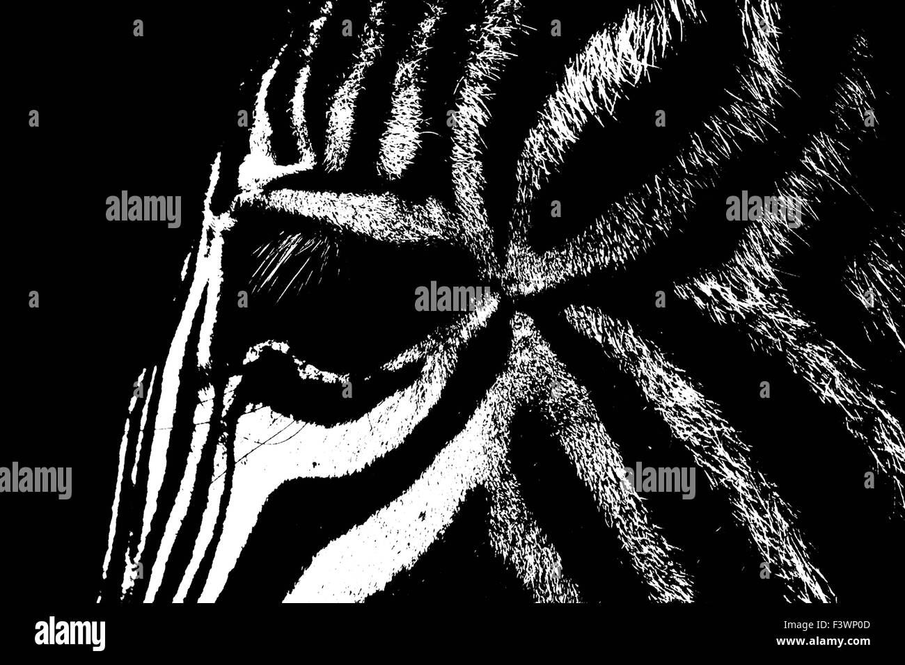 Face abstract poster Black and White Stock Photos & Images - Alamy