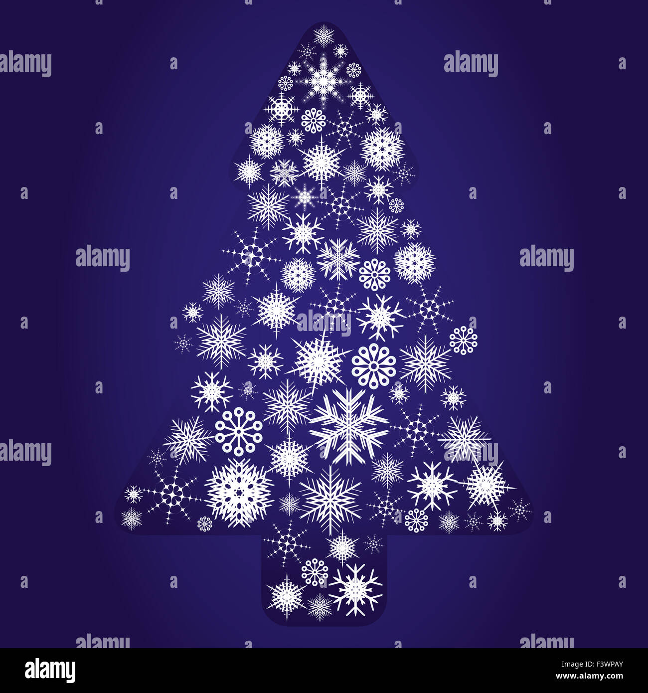 White fir tree Stock Photo - Alamy
