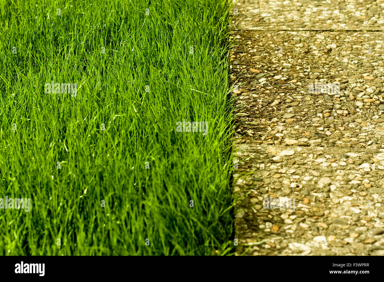 Gras rasen hi-res stock photography and images - Alamy