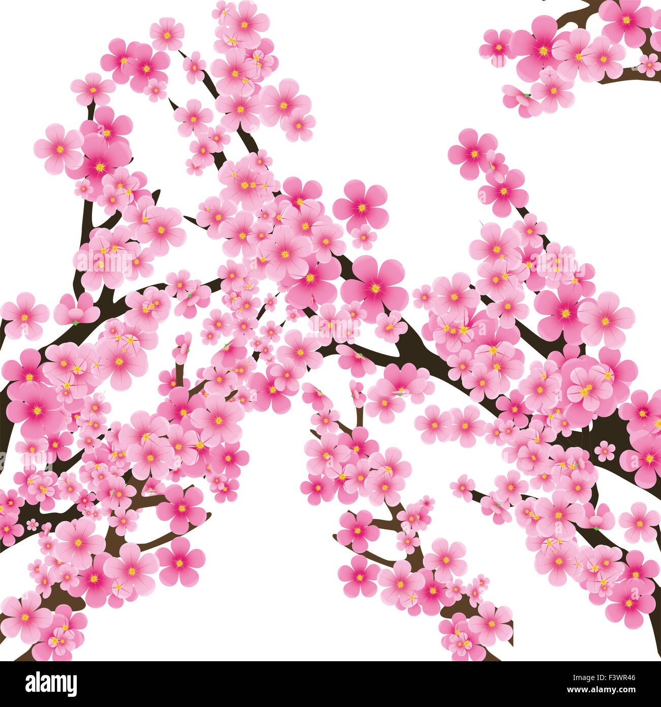 Sakura tree 2 Stock Photo - Alamy