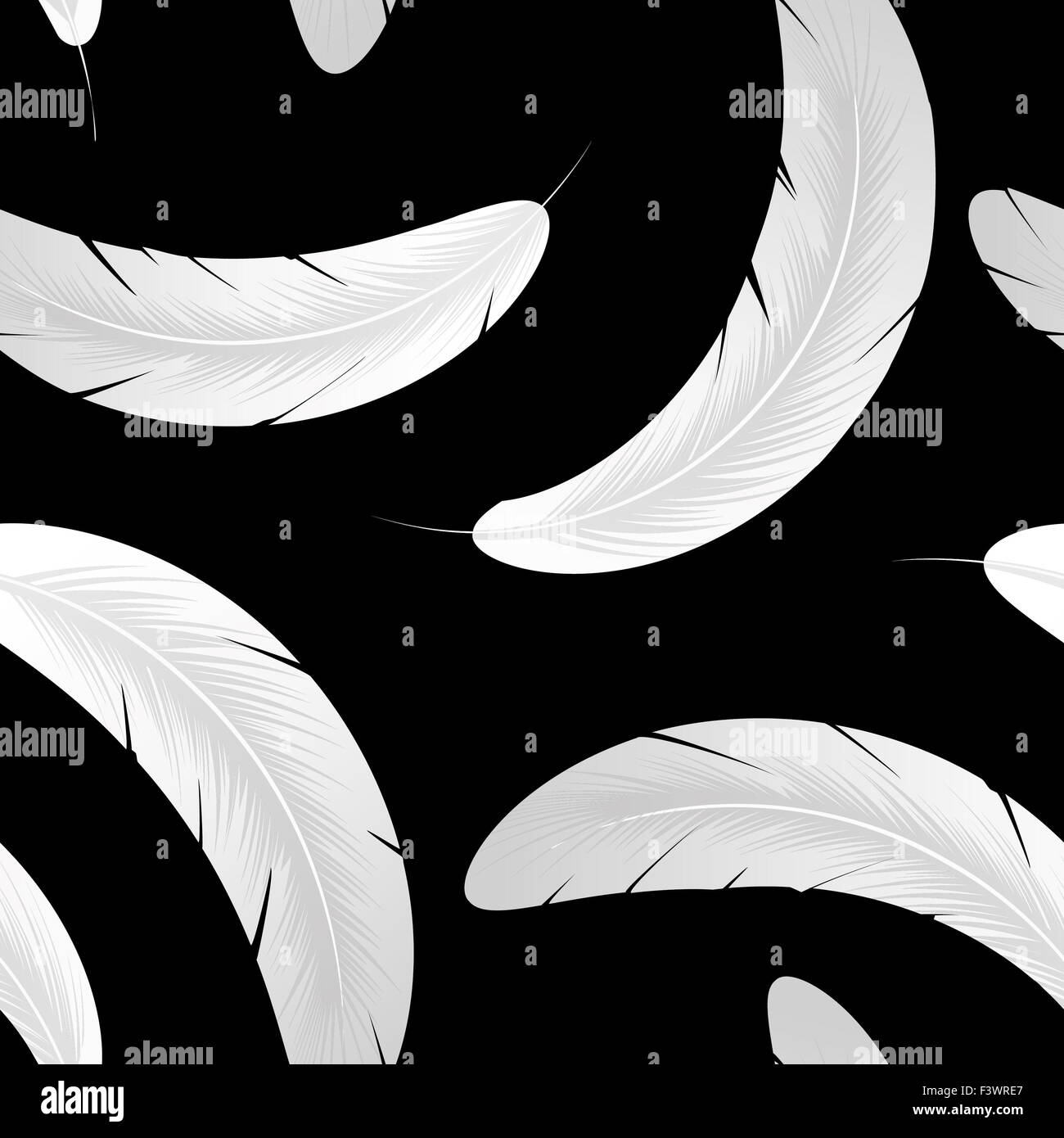 Pretty feathers Black and White Stock Photos & Images - Alamy