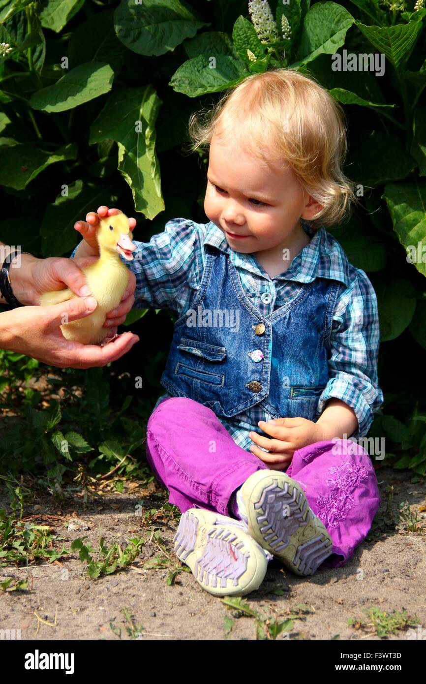 little girl with duck Stock Photo - Alamy