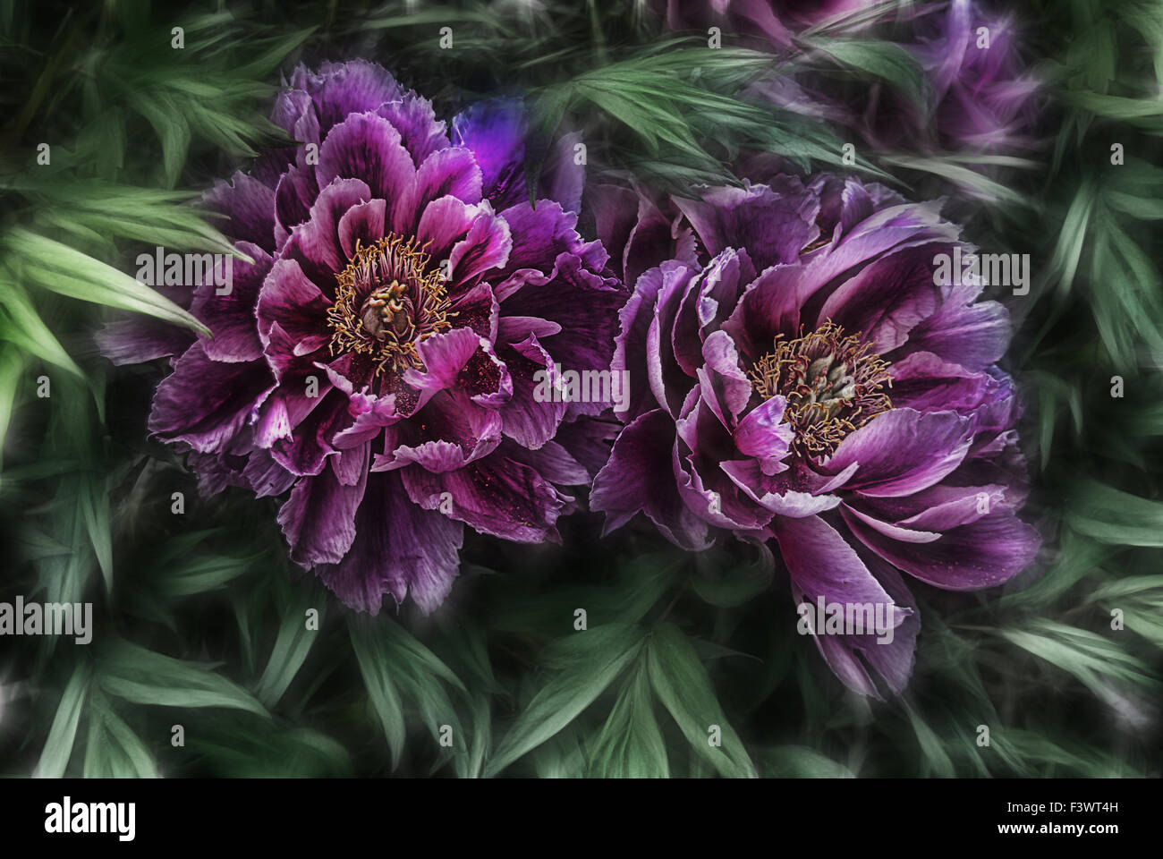 passion of nature Stock Photo - Alamy