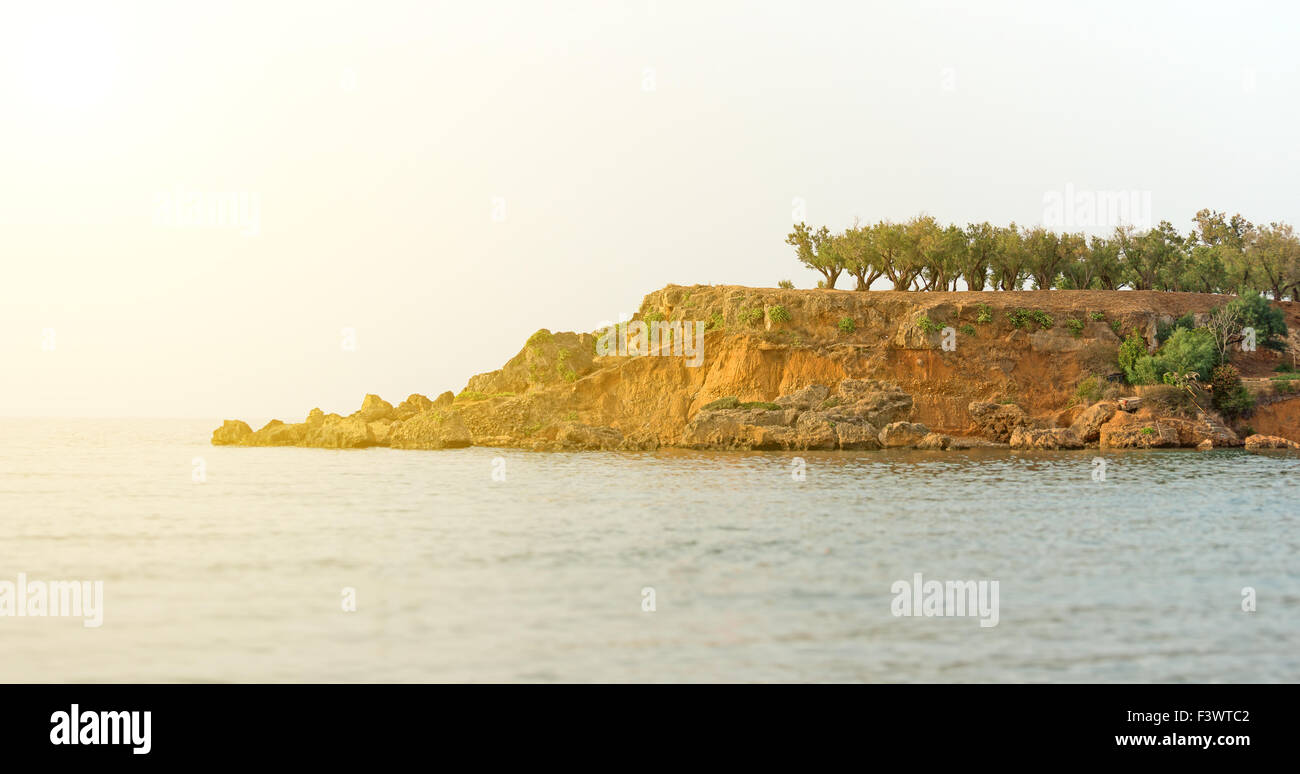 Beautiful uninhabited sunny island with trees Stock Photo - Alamy
