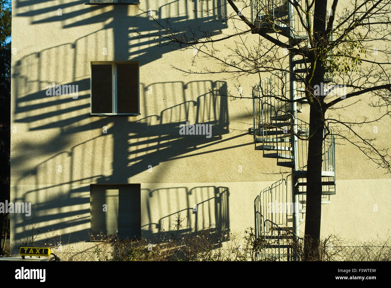 Wentletrap hi-res stock photography and images - Alamy