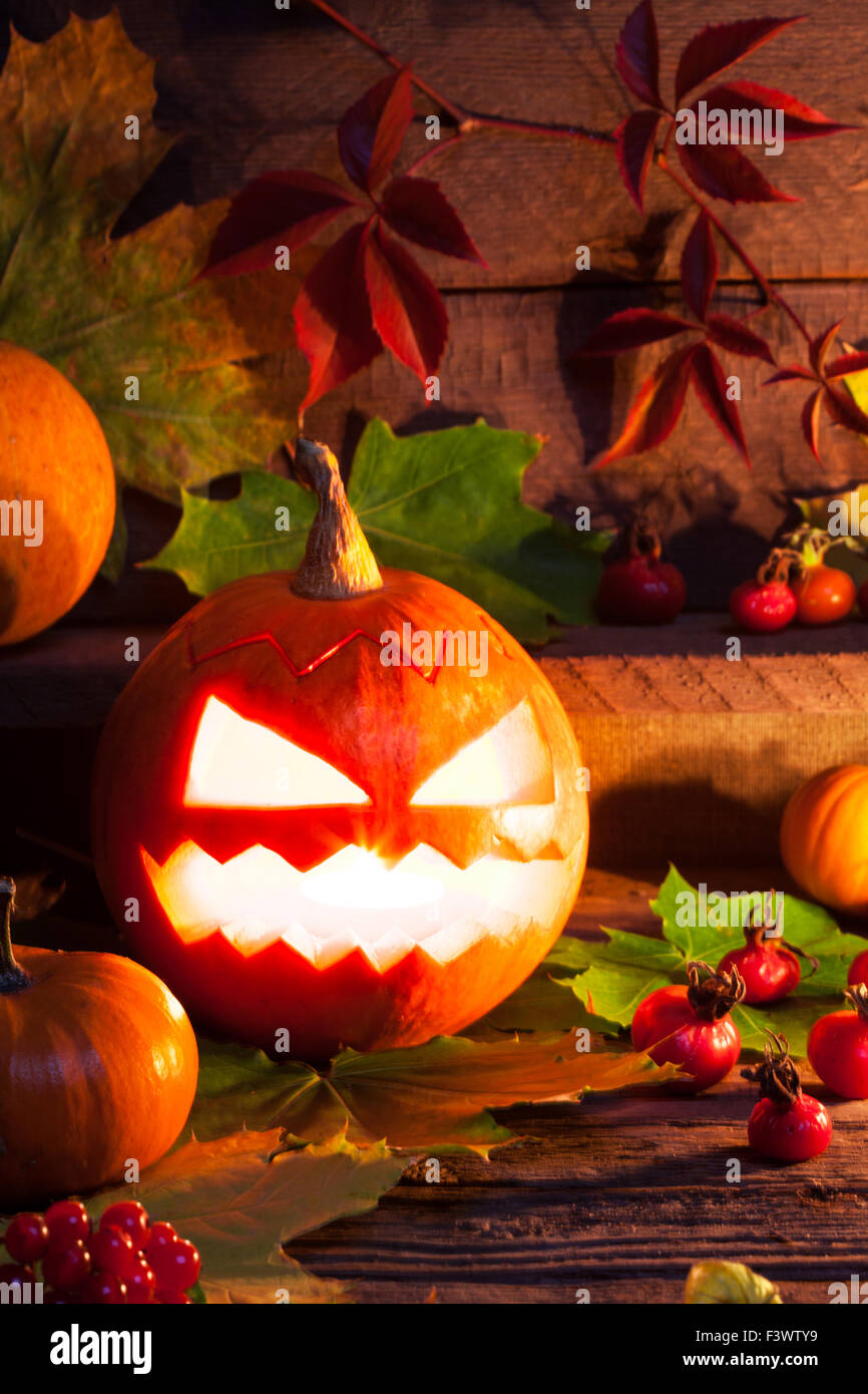Halloween still life with pumpkins Stock Photo - Alamy
