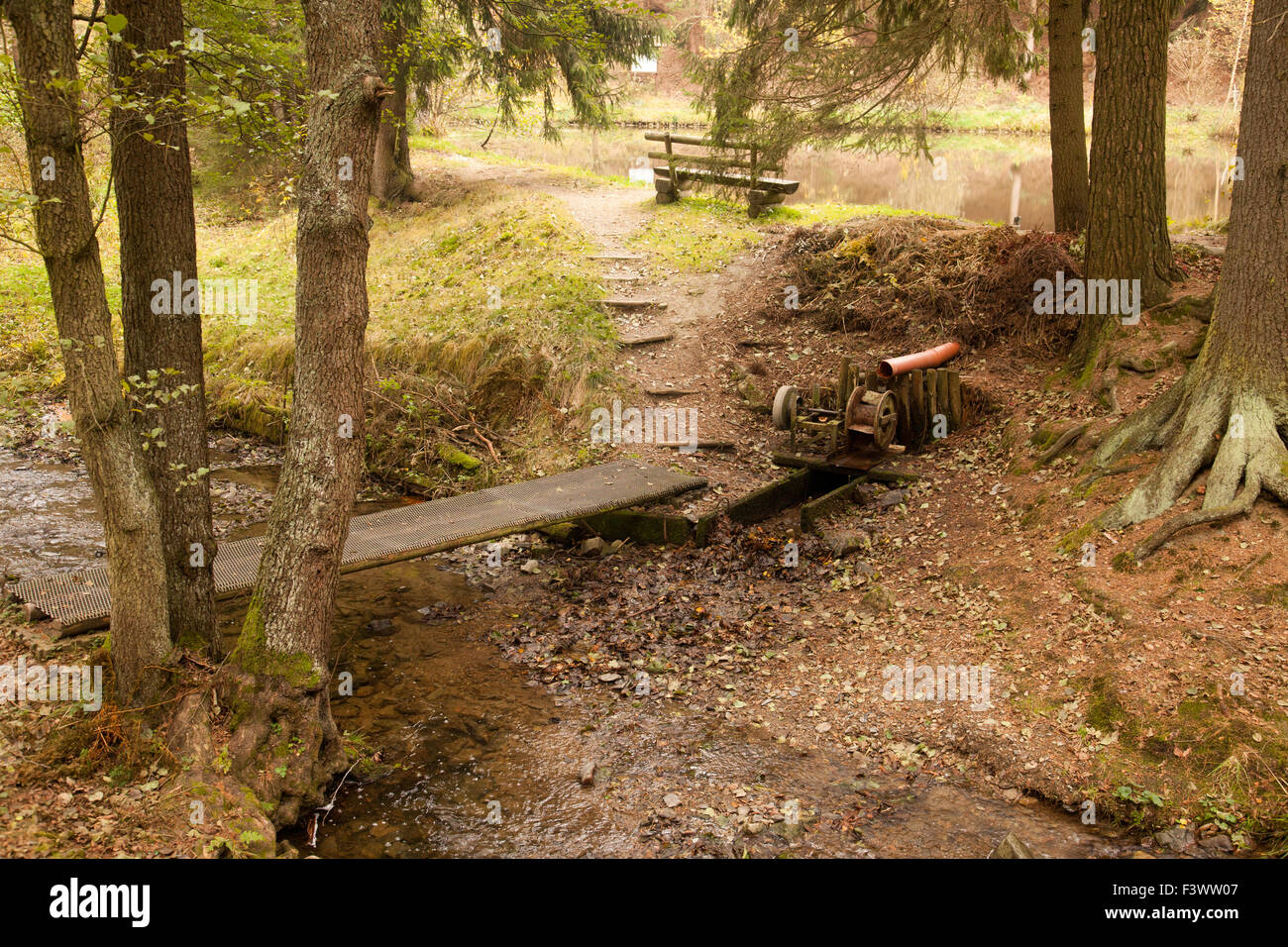 Stream and forest pond Stock Photo - Alamy