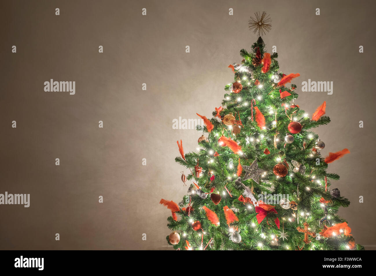 Living inside a tree hi-res stock photography and images - Alamy
