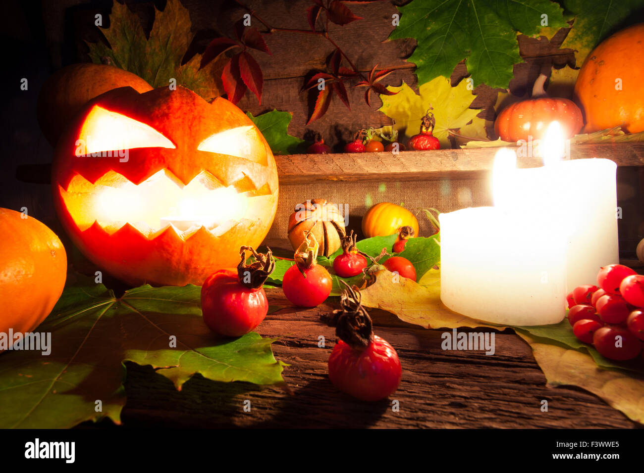 Halloween still life with pumpkins Stock Photo - Alamy
