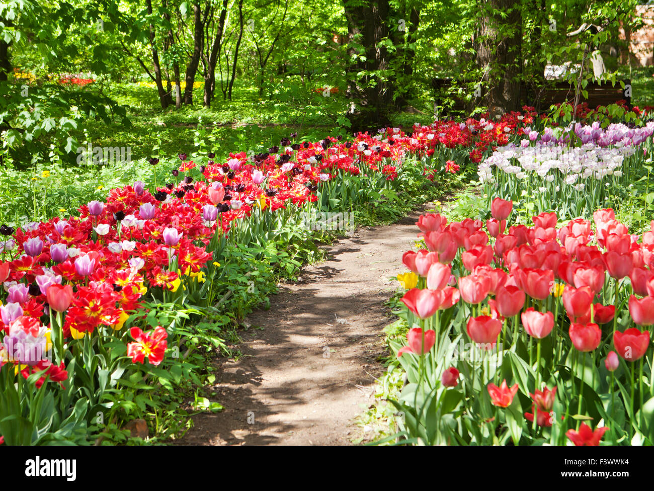 Path in a botanical garden Stock Photo - Alamy
