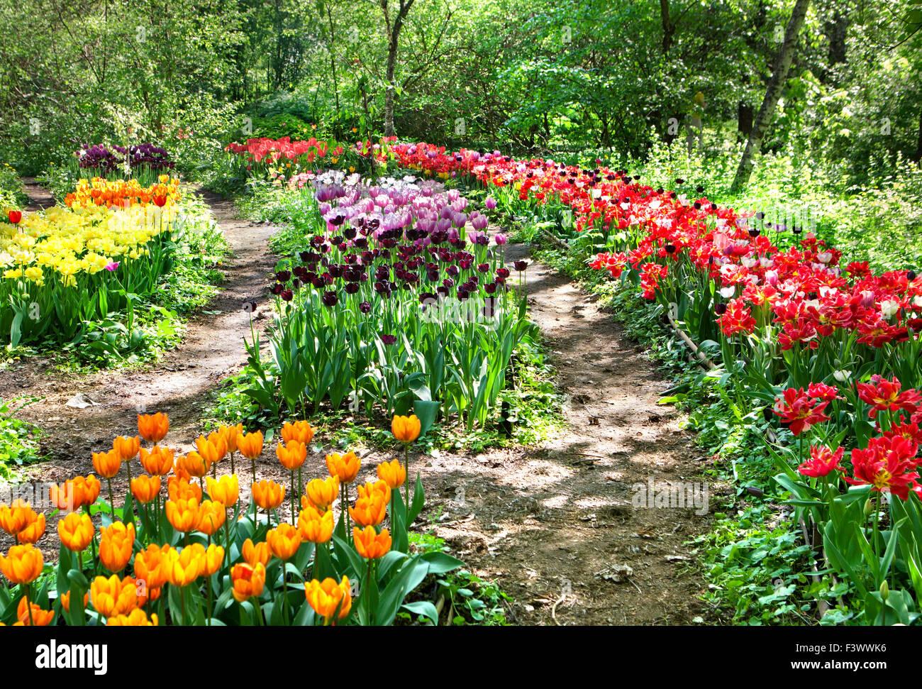 Moscow russia botanical garden hi-res stock photography and images - Alamy
