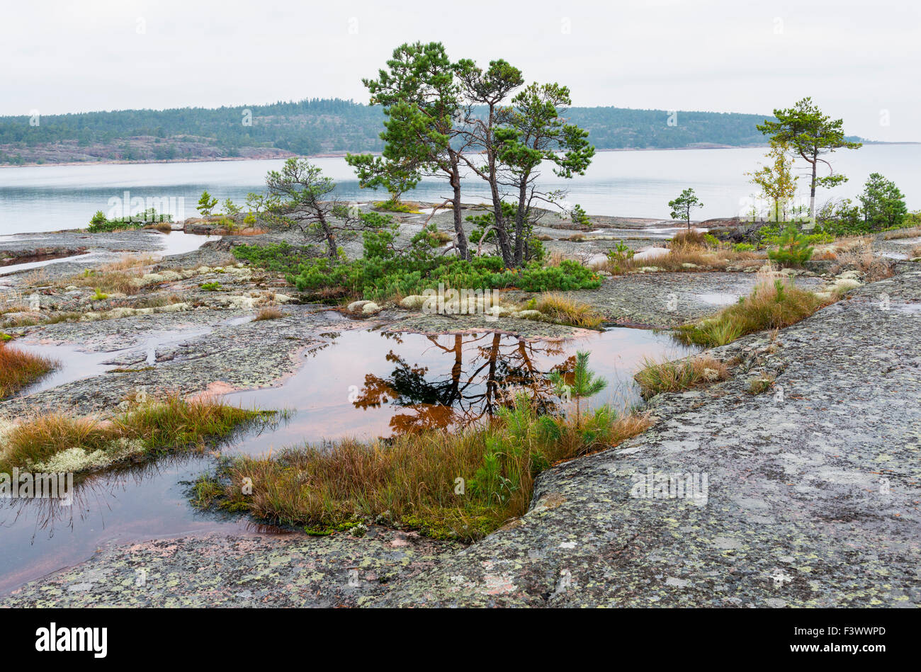 Coastal landscape, Aaland islands Stock Photo - Alamy