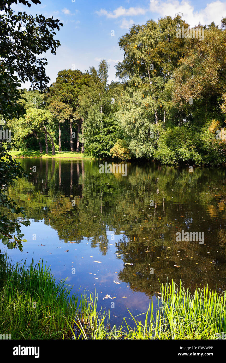 Woodland pond hi-res stock photography and images - Alamy