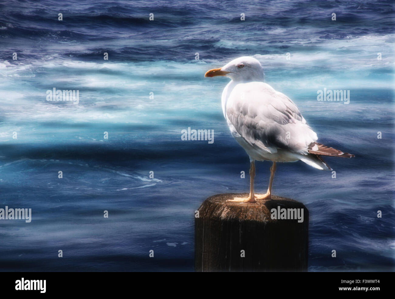 Do not throw away symbol hi-res stock photography and images - Alamy