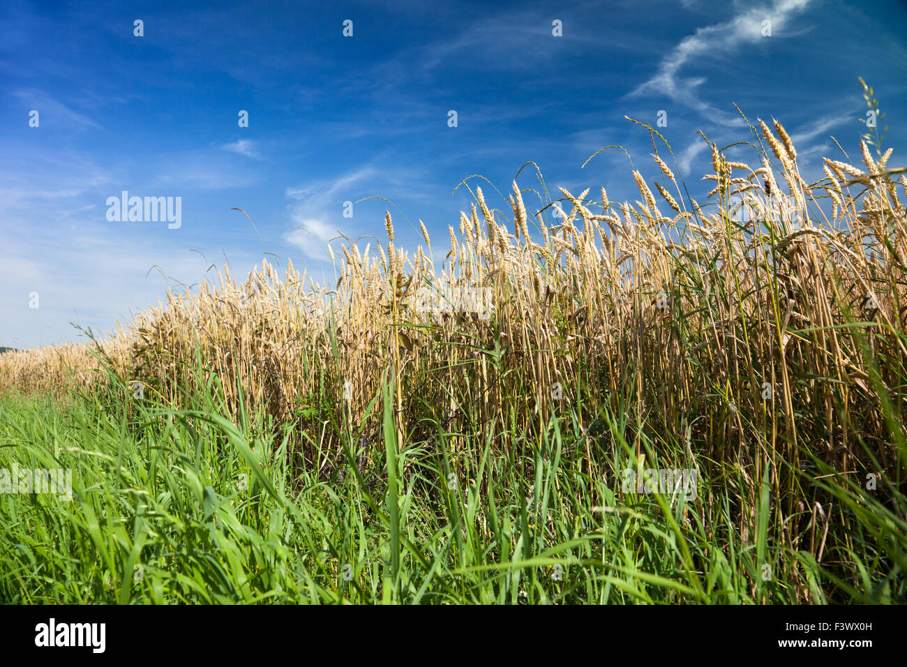 Shore gr hi-res stock photography and images - Alamy